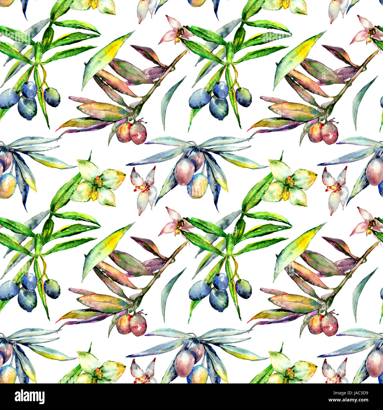 Olive tree pattern in a watercolor style isolated Stock Photo - Alamy