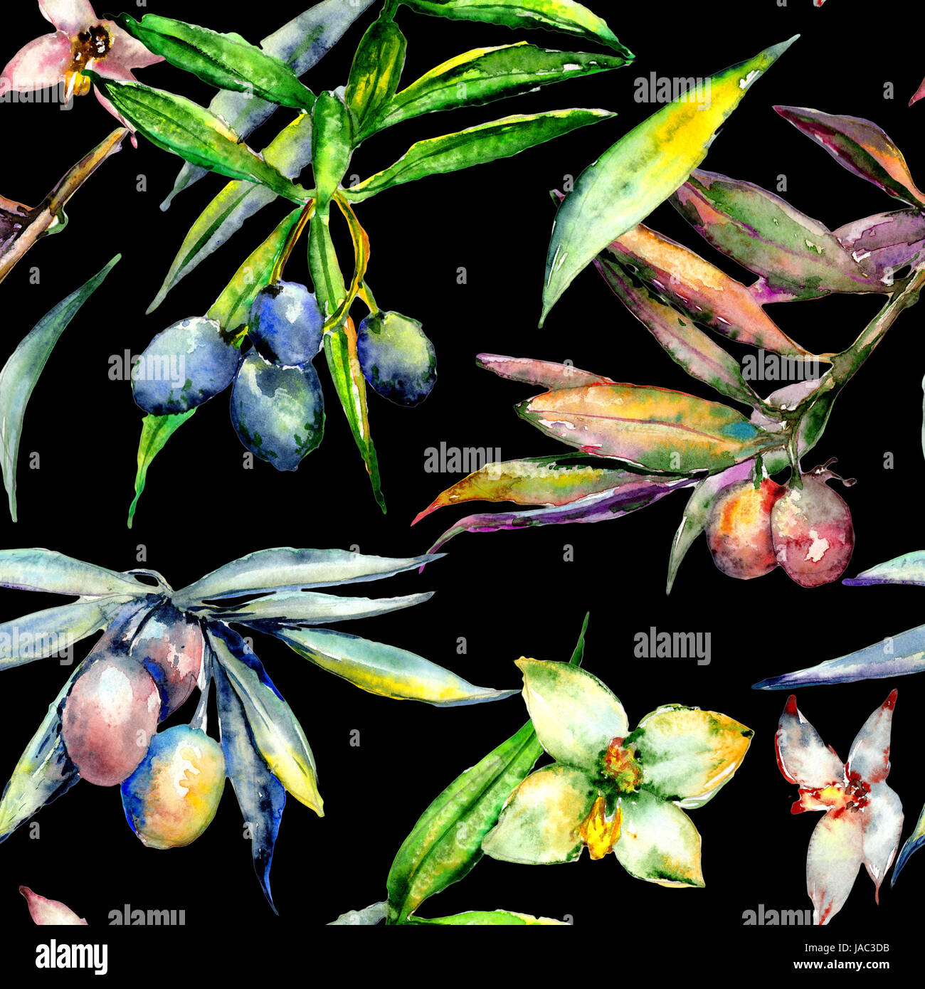 Olive tree pattern in a watercolor style isolated Stock Photo - Alamy