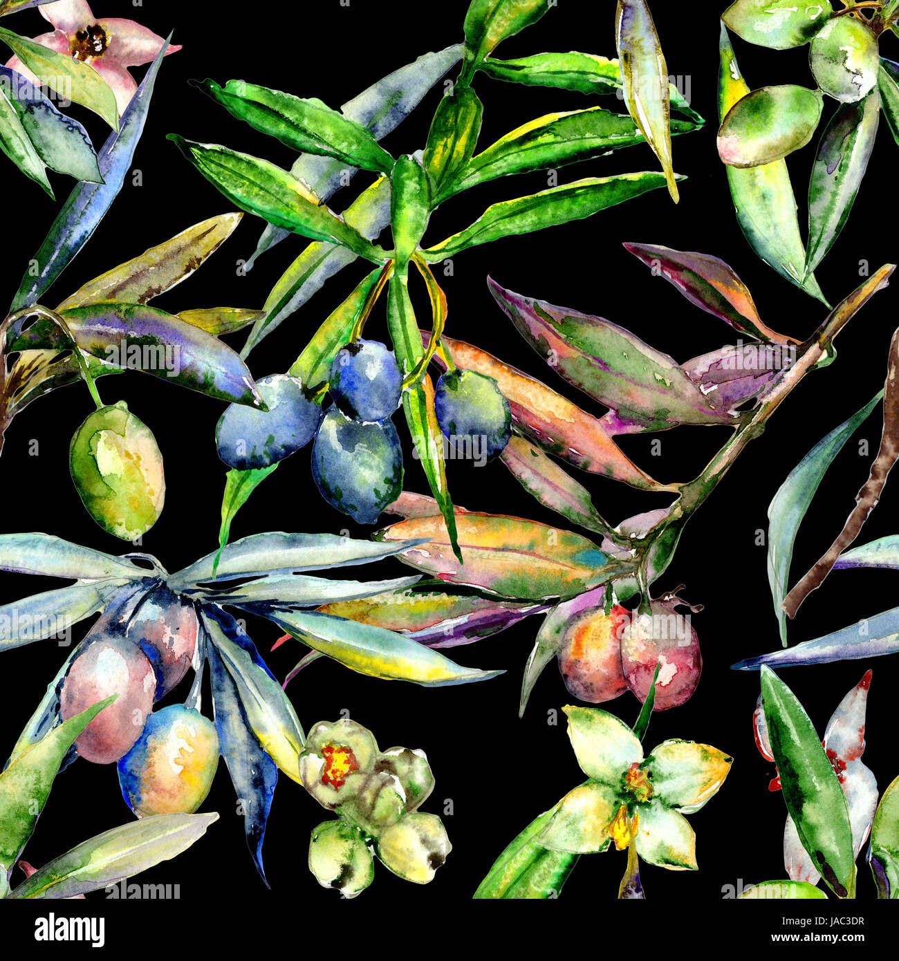 Olive tree pattern in a watercolor style isolated Stock Photo - Alamy