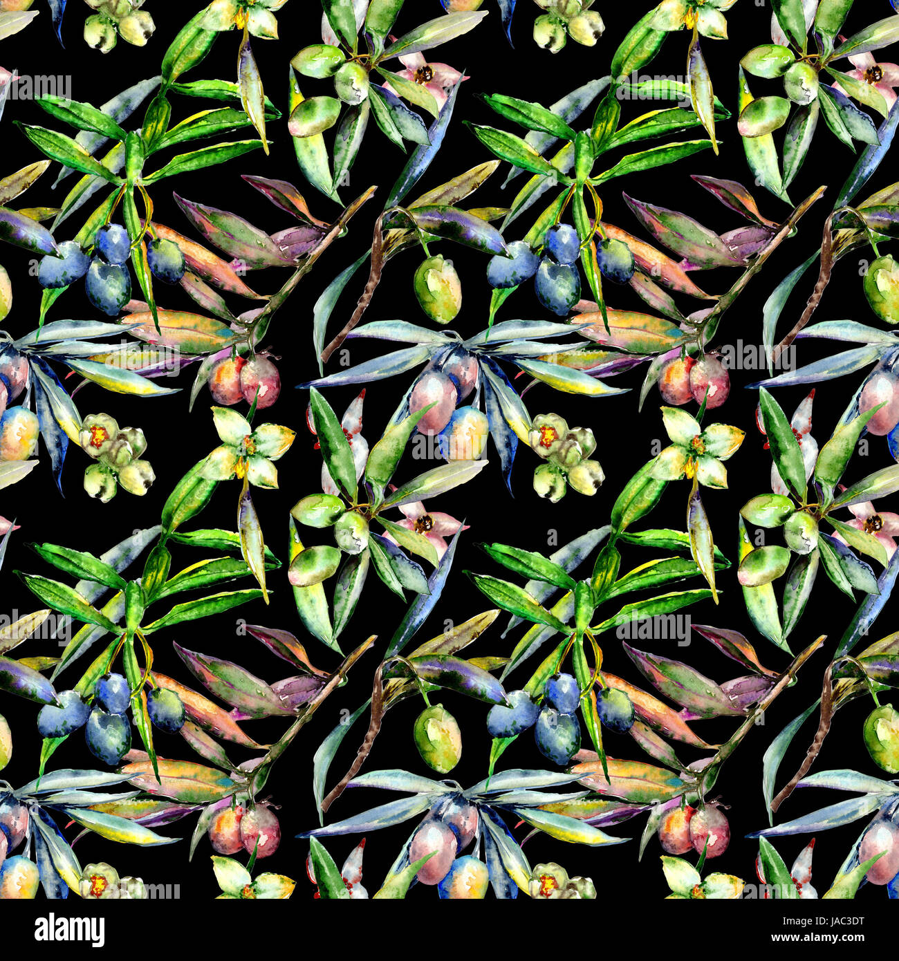 Olive tree pattern in a watercolor style isolated Stock Photo - Alamy
