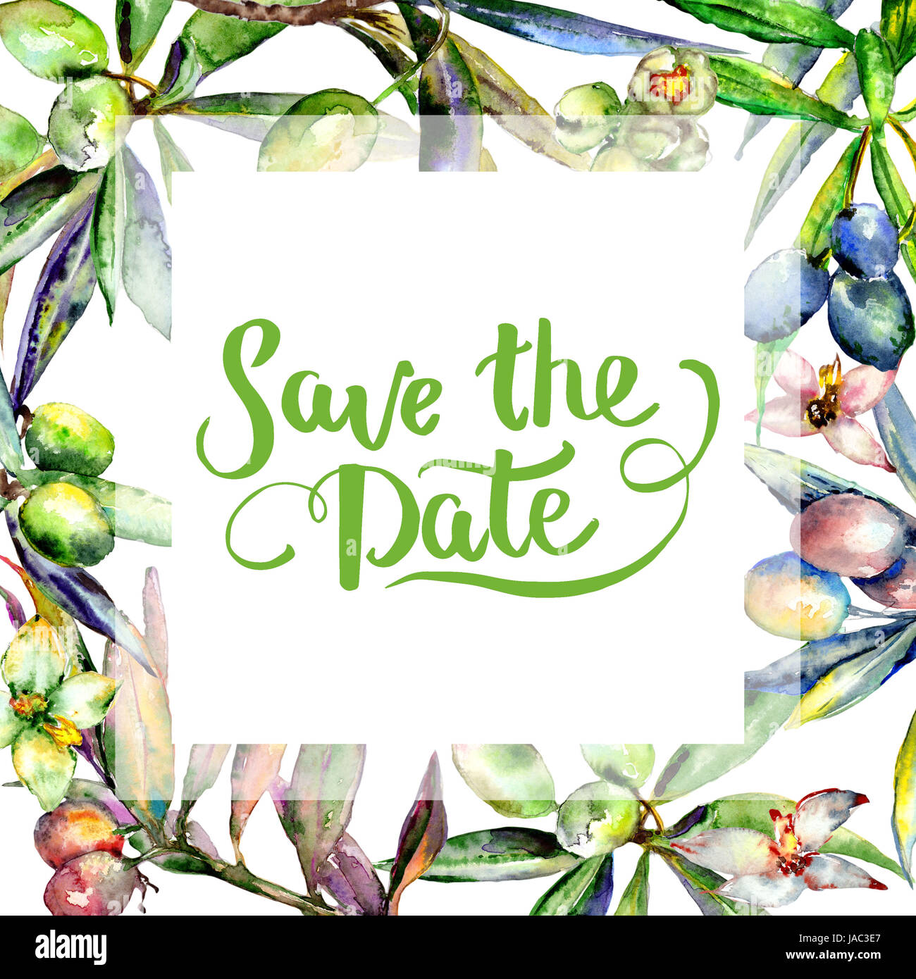 Olive tree frame in a watercolor style isolated Stock Photo - Alamy