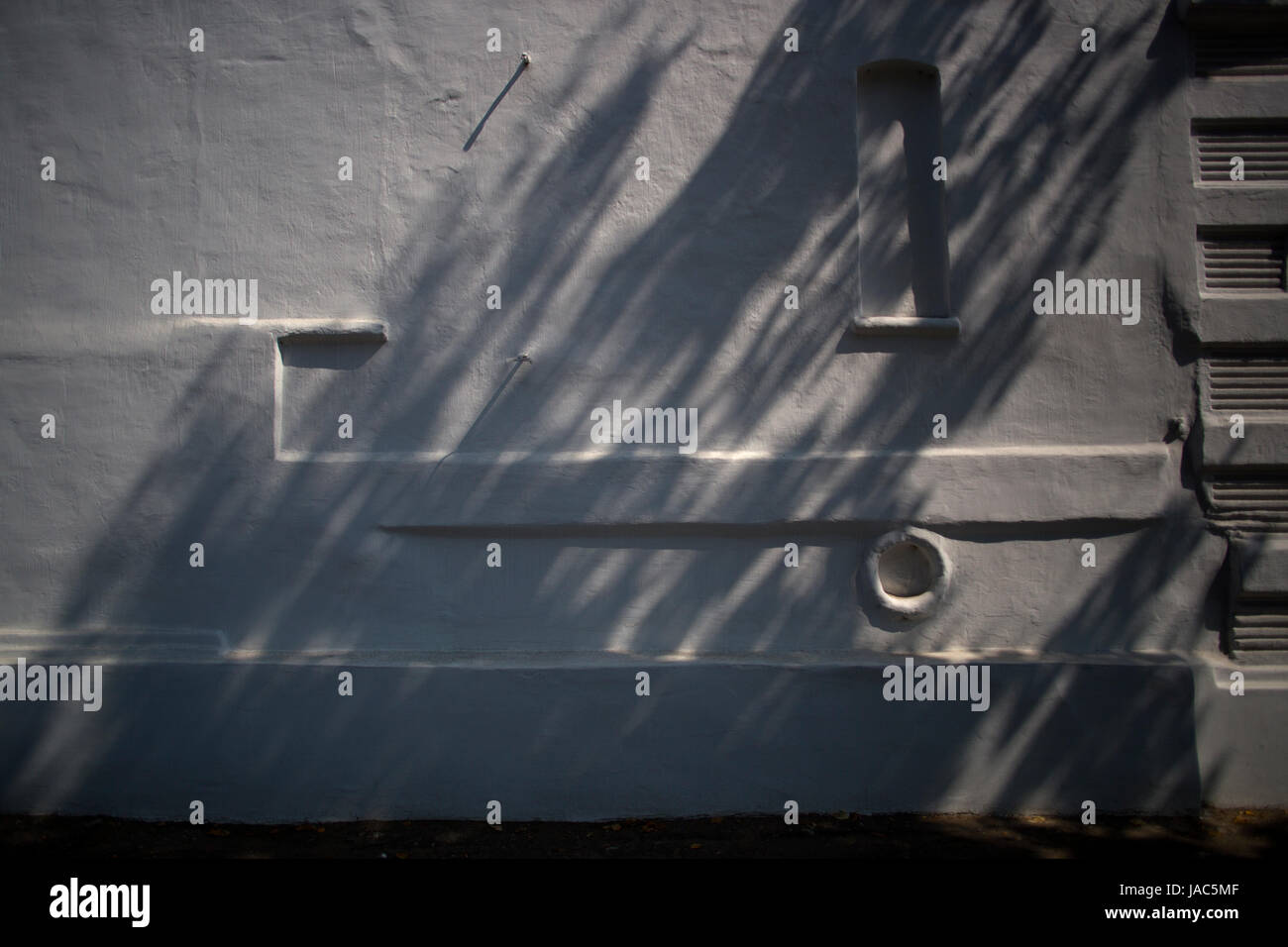 Tree shadow on white wall hi-res stock photography and images - Alamy