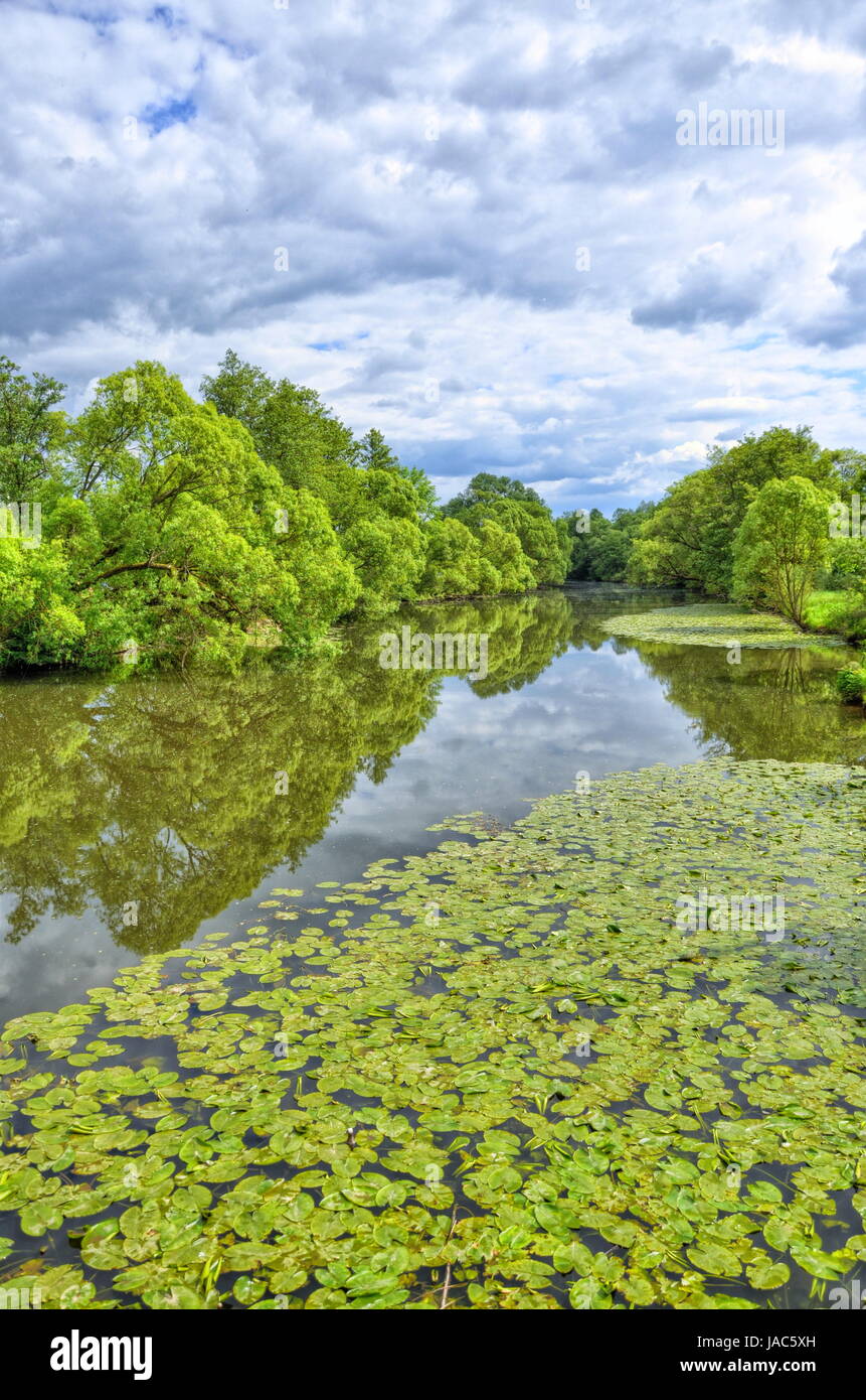 Fulda river in Aueweiher Park in Fulda, Hessen, Germany Stock Photo - Alamy