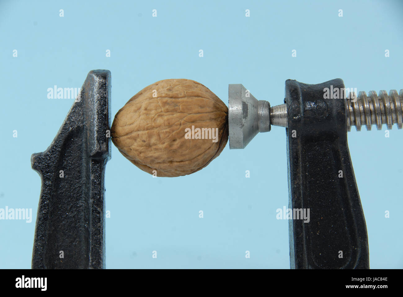 Walnut clamp hi-res stock photography and images - Alamy