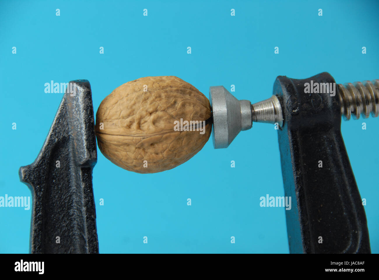 Walnut clamp hi-res stock photography and images - Alamy