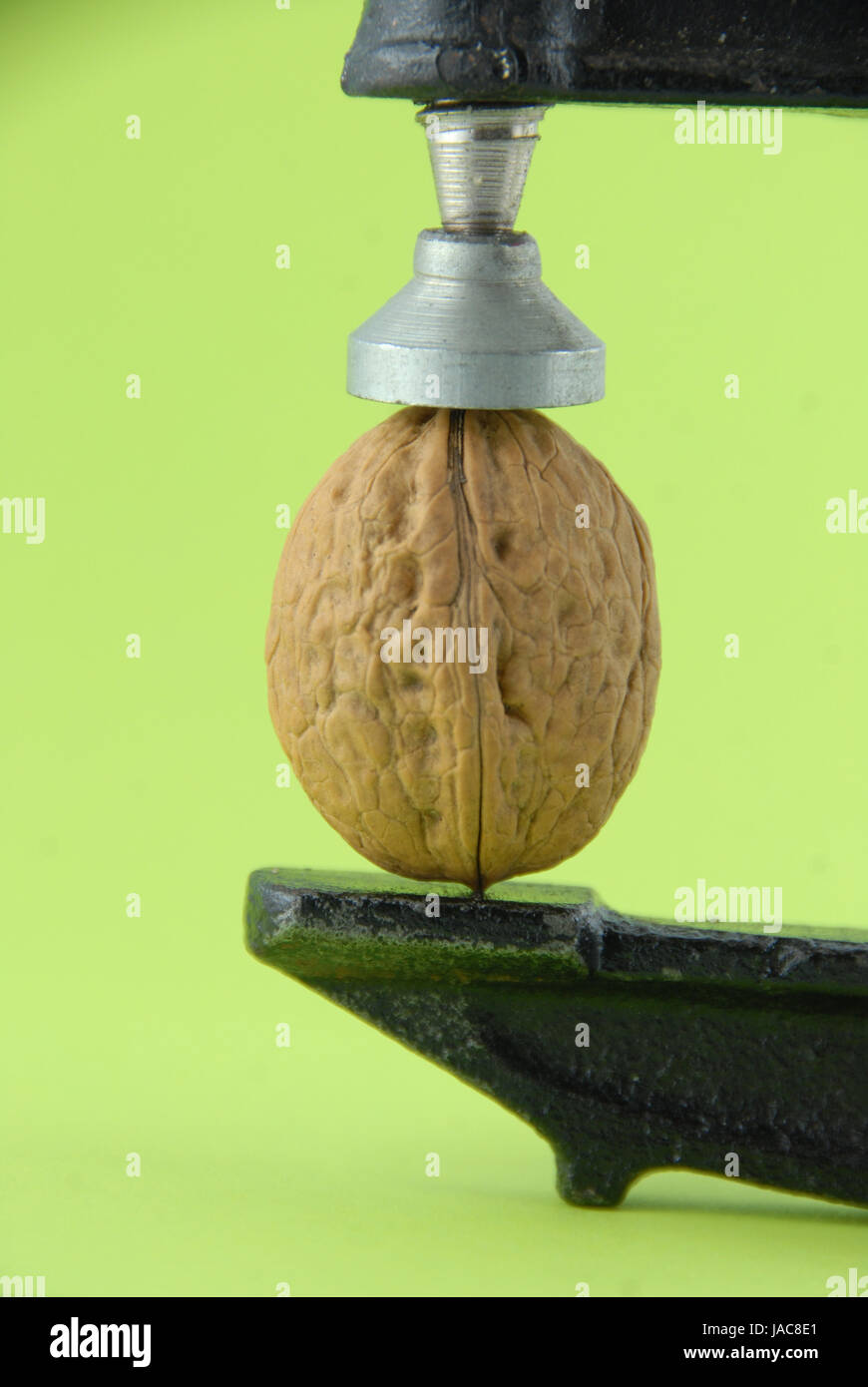 Walnut clamp hi-res stock photography and images - Alamy