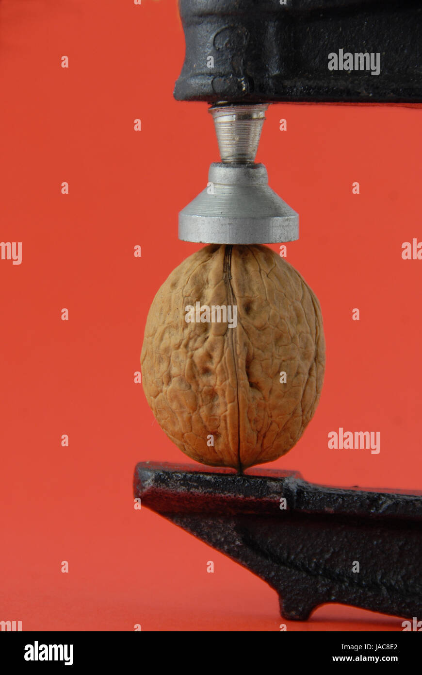 Walnut clamp hi-res stock photography and images - Alamy