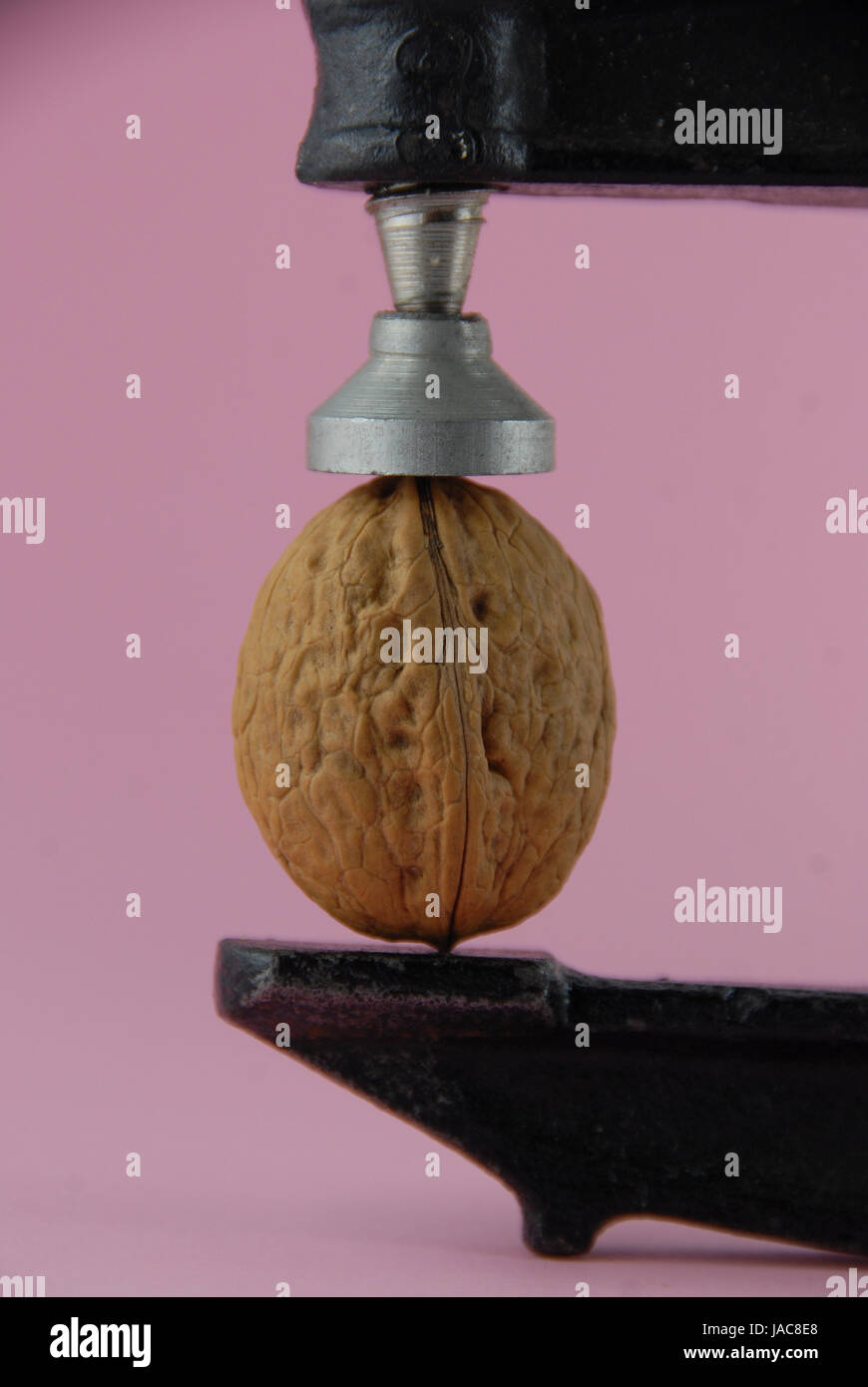 Walnut clamp hi-res stock photography and images - Alamy