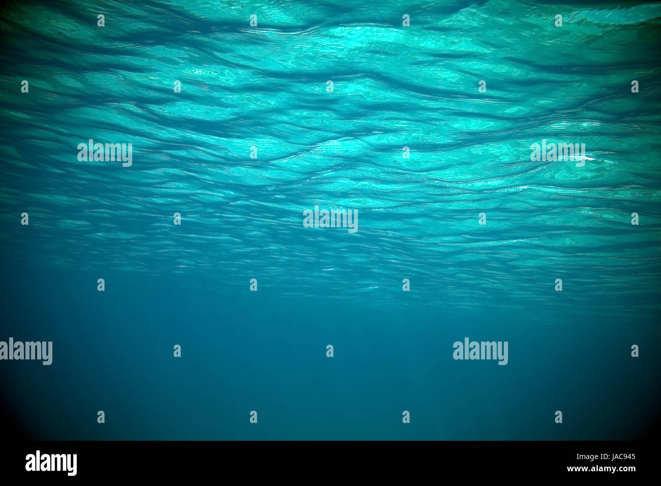 Ocean view beneath surface Stock Photo - Alamy