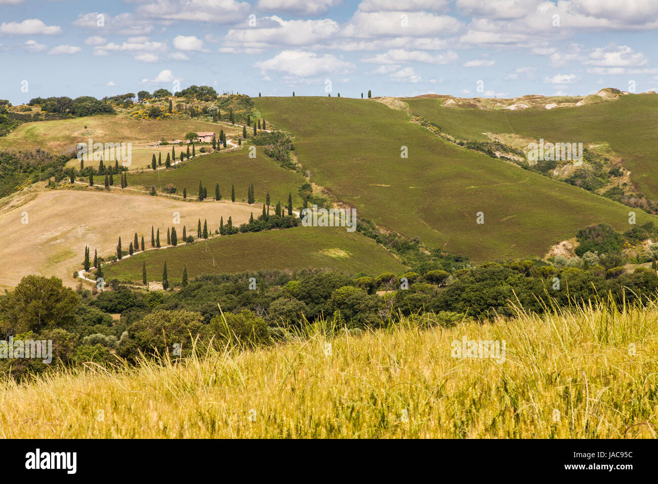 Tuscany, Italy. Famous La Foce street, landmark of Tuscan country Stock ...