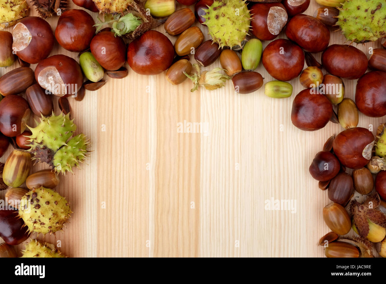 Three-sided border of natural autumn material - acorns, conkers ...