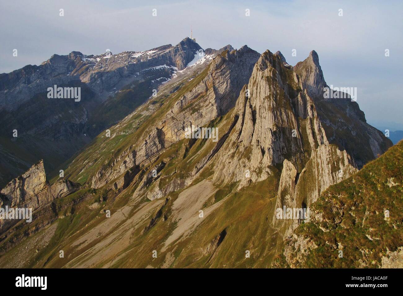 Schafler hi-res stock photography and images - Alamy