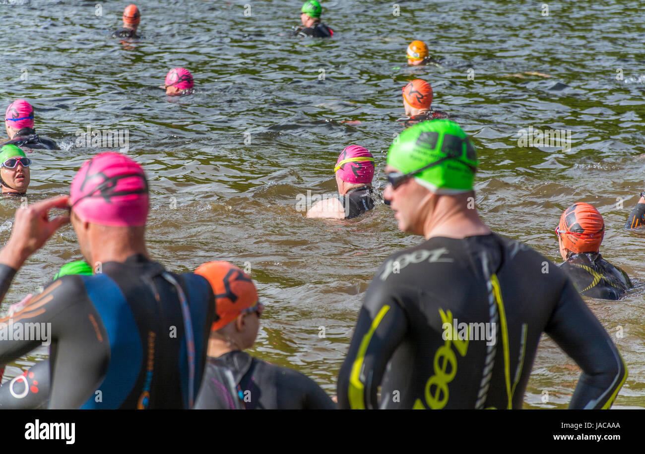 Swimmers enter the water in preparation for the start of the 2017 ...