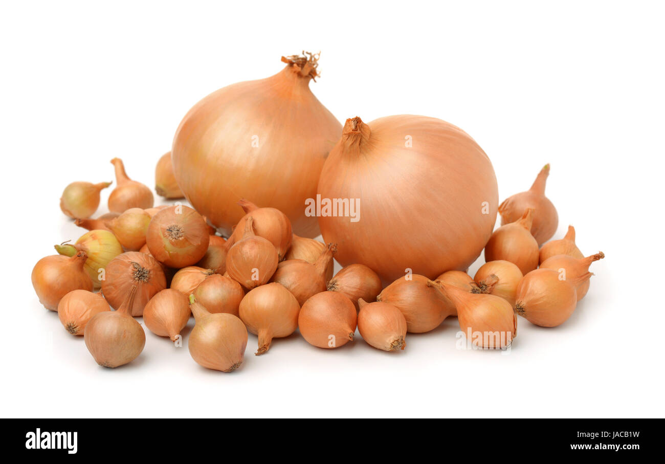 Small planting onion sets hi-res stock photography and images - Alamy