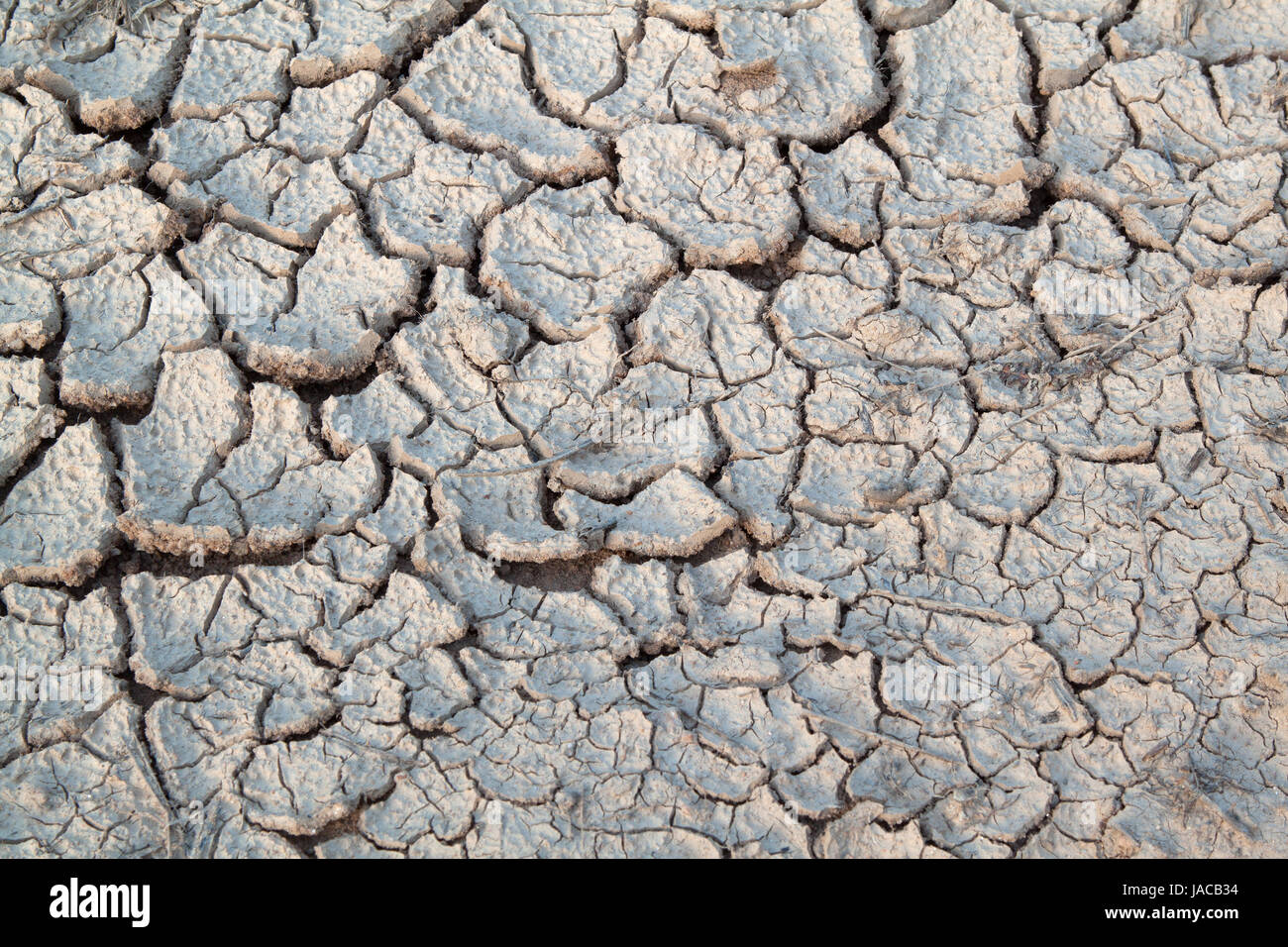 Dry cracked earth background, clay desert texture Stock Photo - Alamy