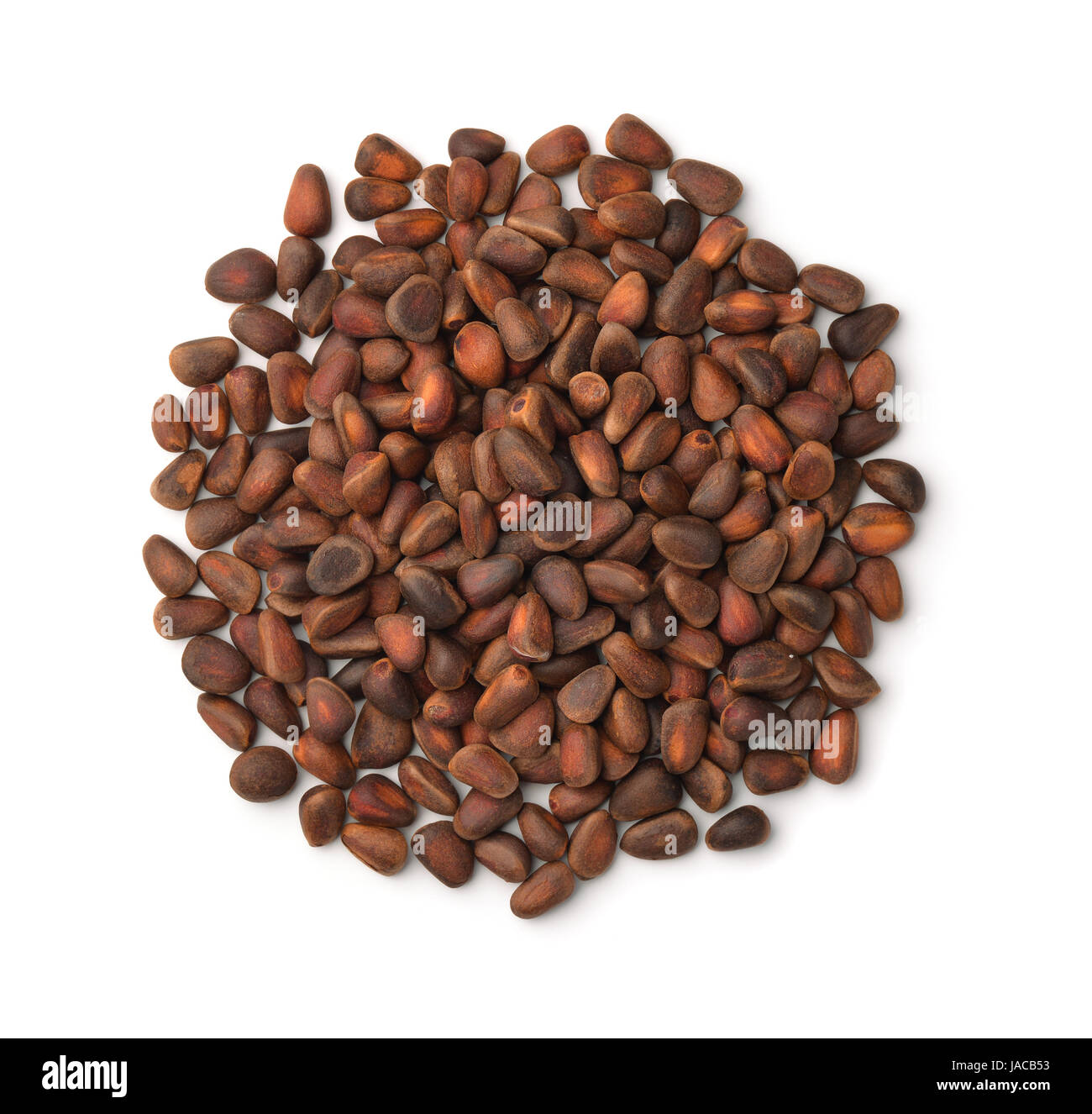 Pine nuts Cut Out Stock Images & Pictures - Alamy