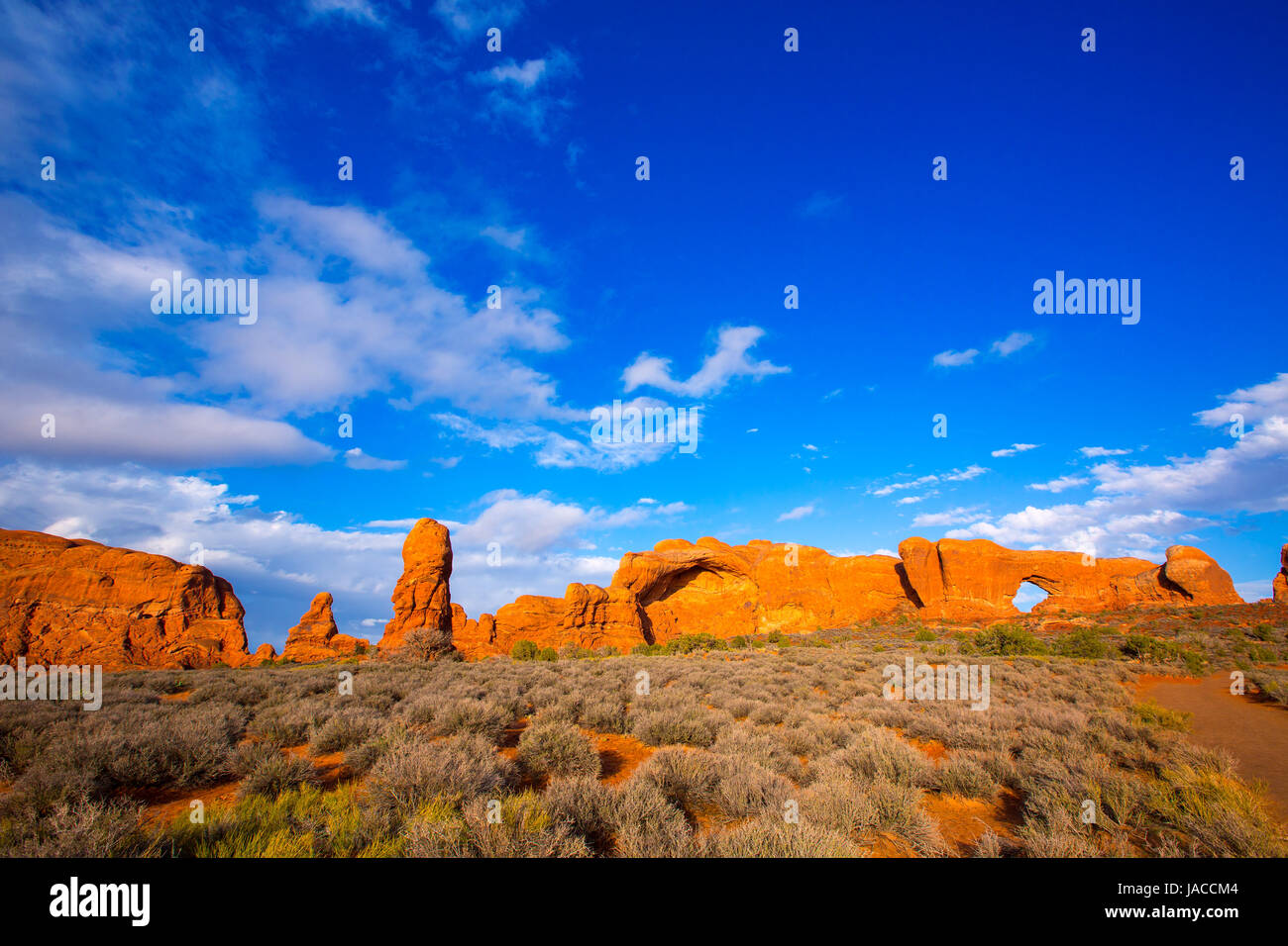 Arches National Park Windows section in Moab Utah USA Stock Photo - Alamy