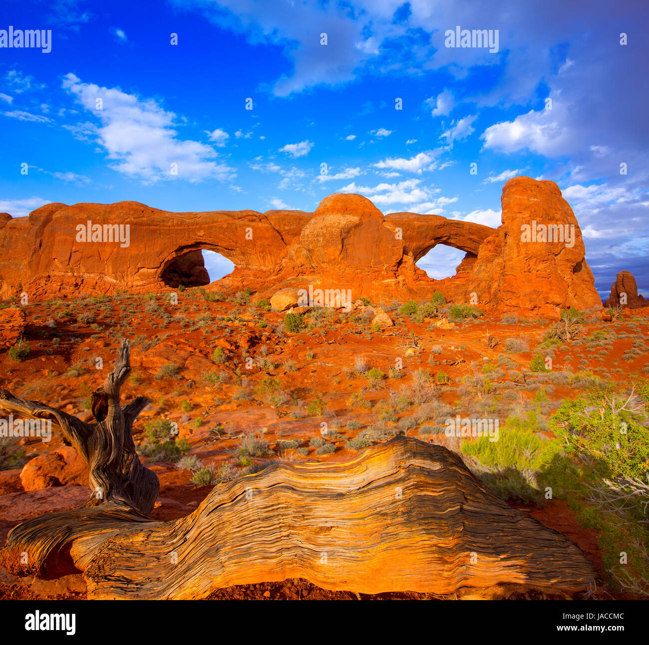 Arches National Park Windows section in Moab Utah USA Stock Photo - Alamy
