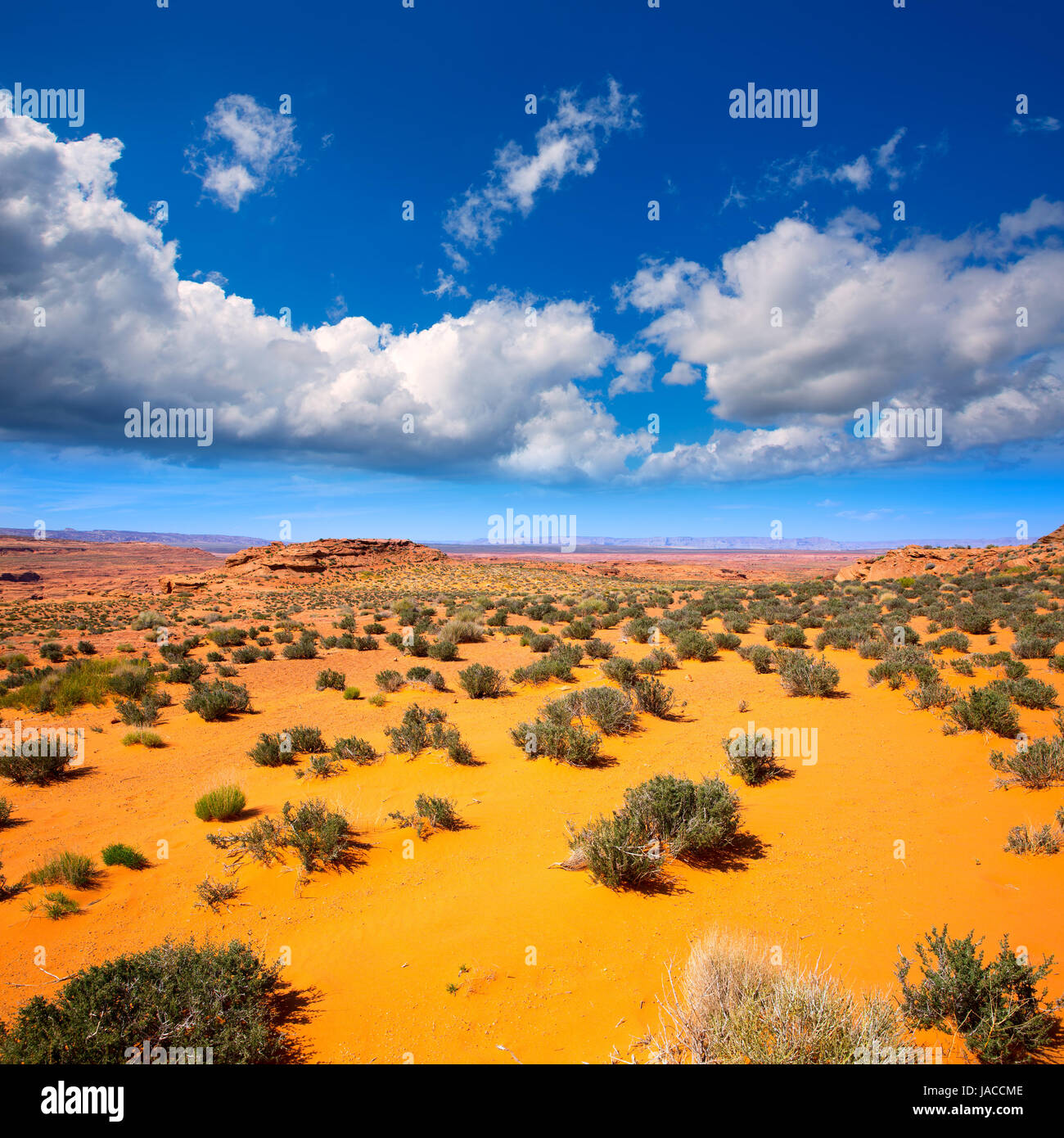 Arizona desert near Colorado river USA orange soil and blue sky Stock ...