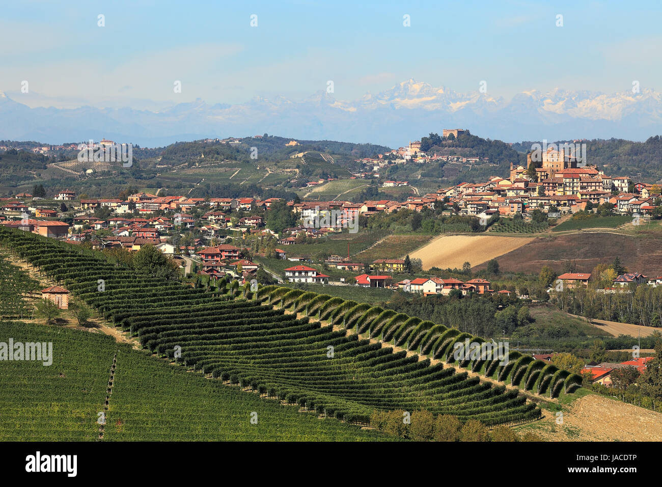 View of hills with green vineyards and small town of Roddi on ...