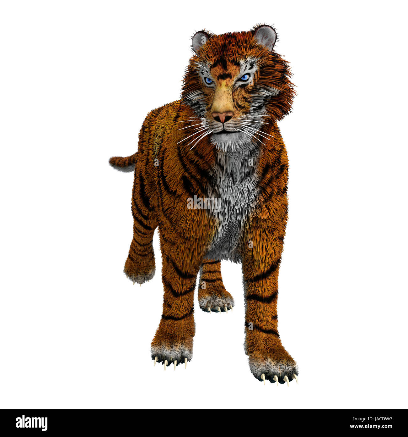3D digital render of a wild tiger with blue eyes isolated on white ...