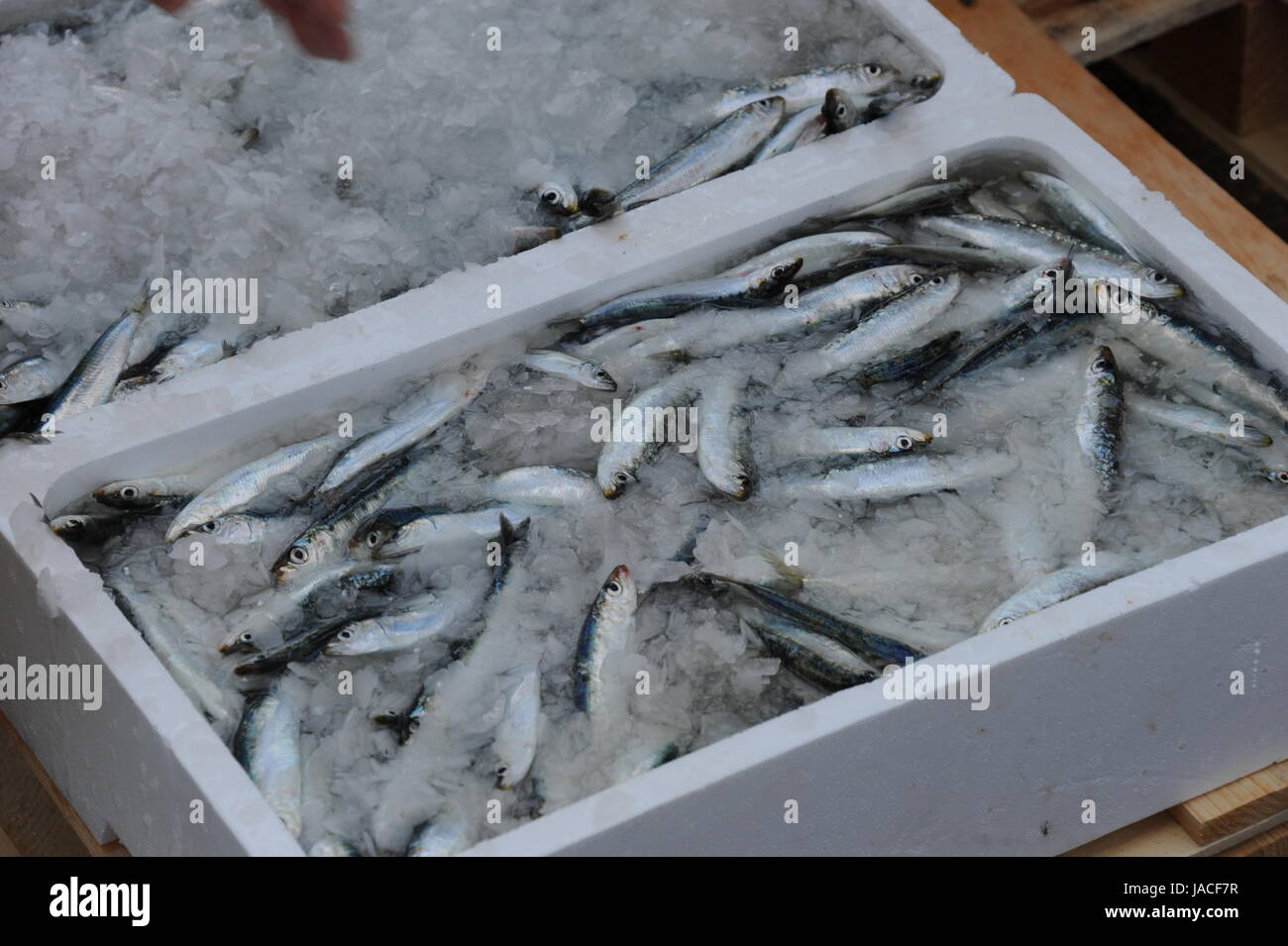 spain - fresh fish Stock Photo - Alamy