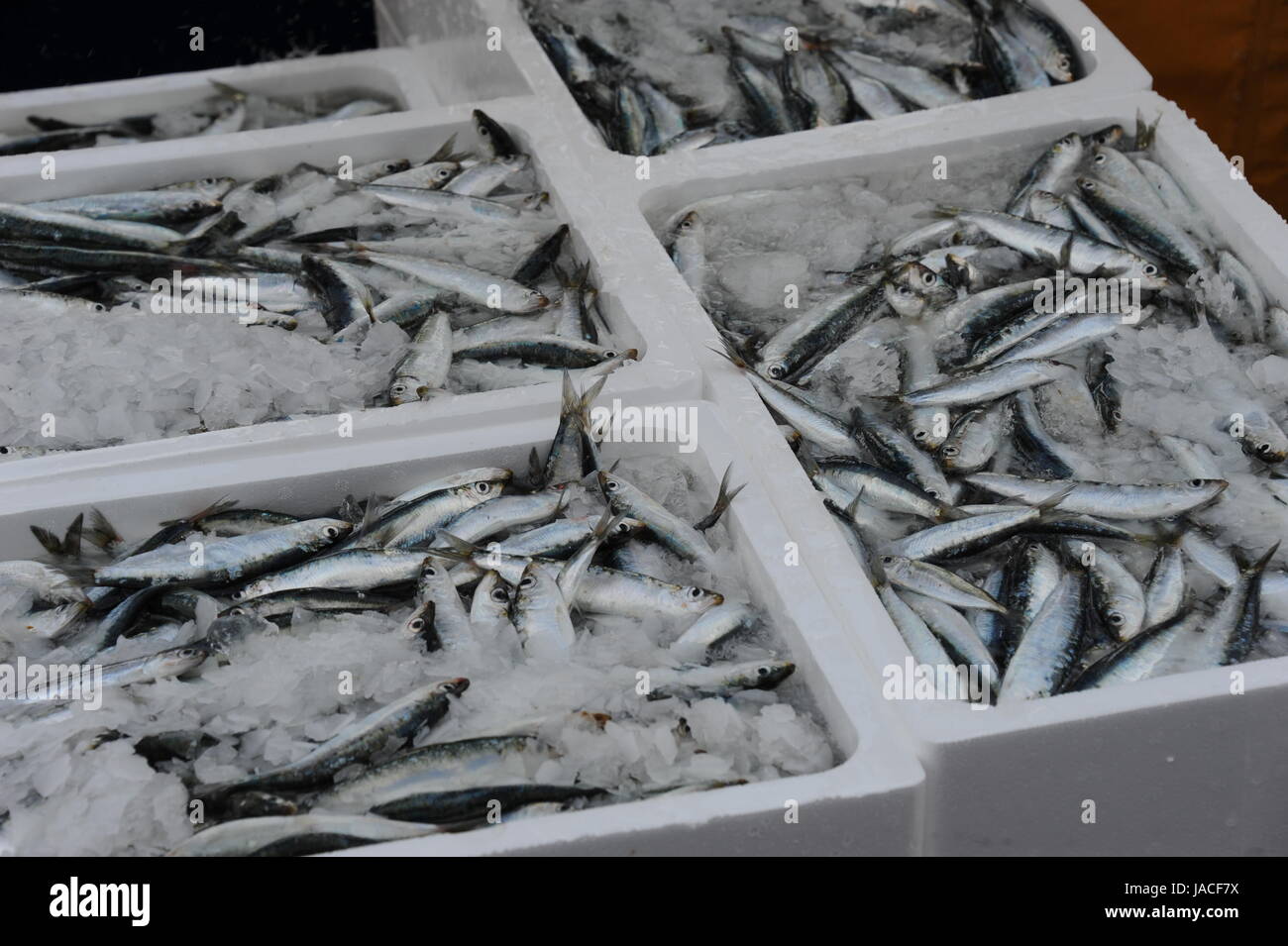 spain - fresh fish Stock Photo - Alamy