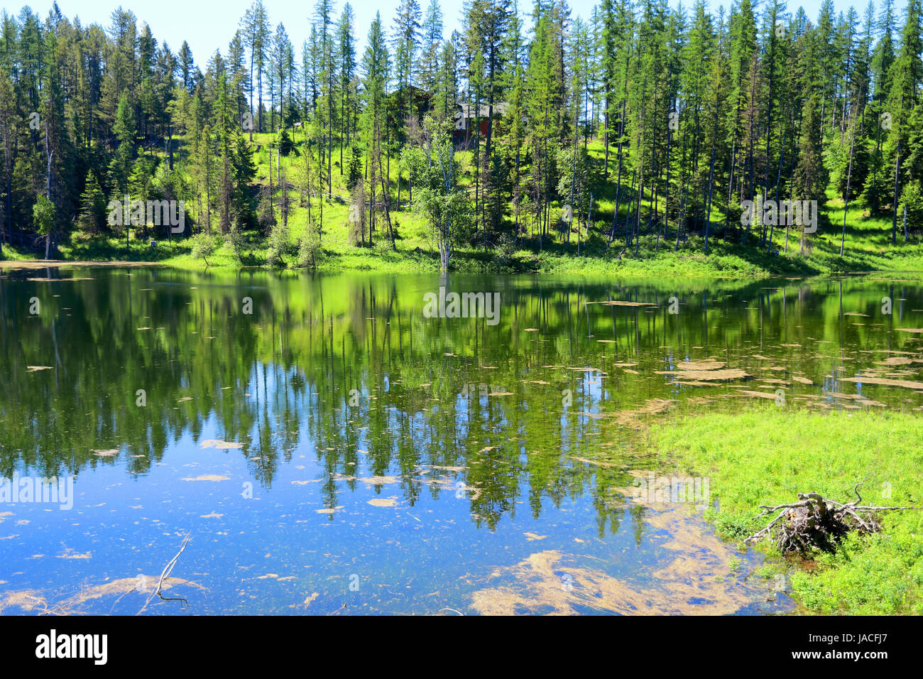 Nestled home hi-res stock photography and images - Alamy