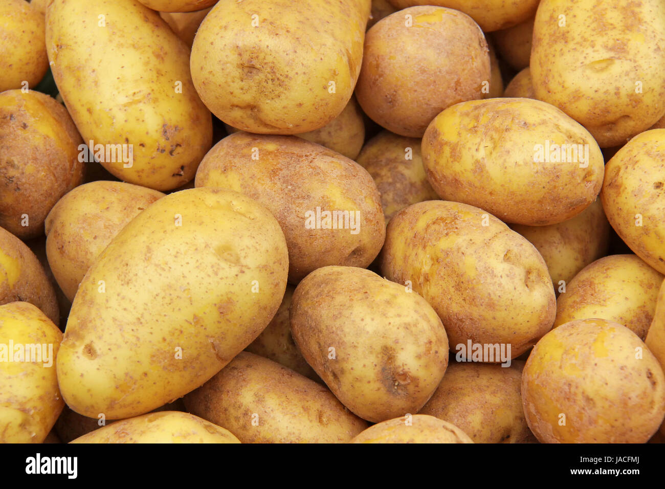 german potato marabel Stock Photo - Alamy