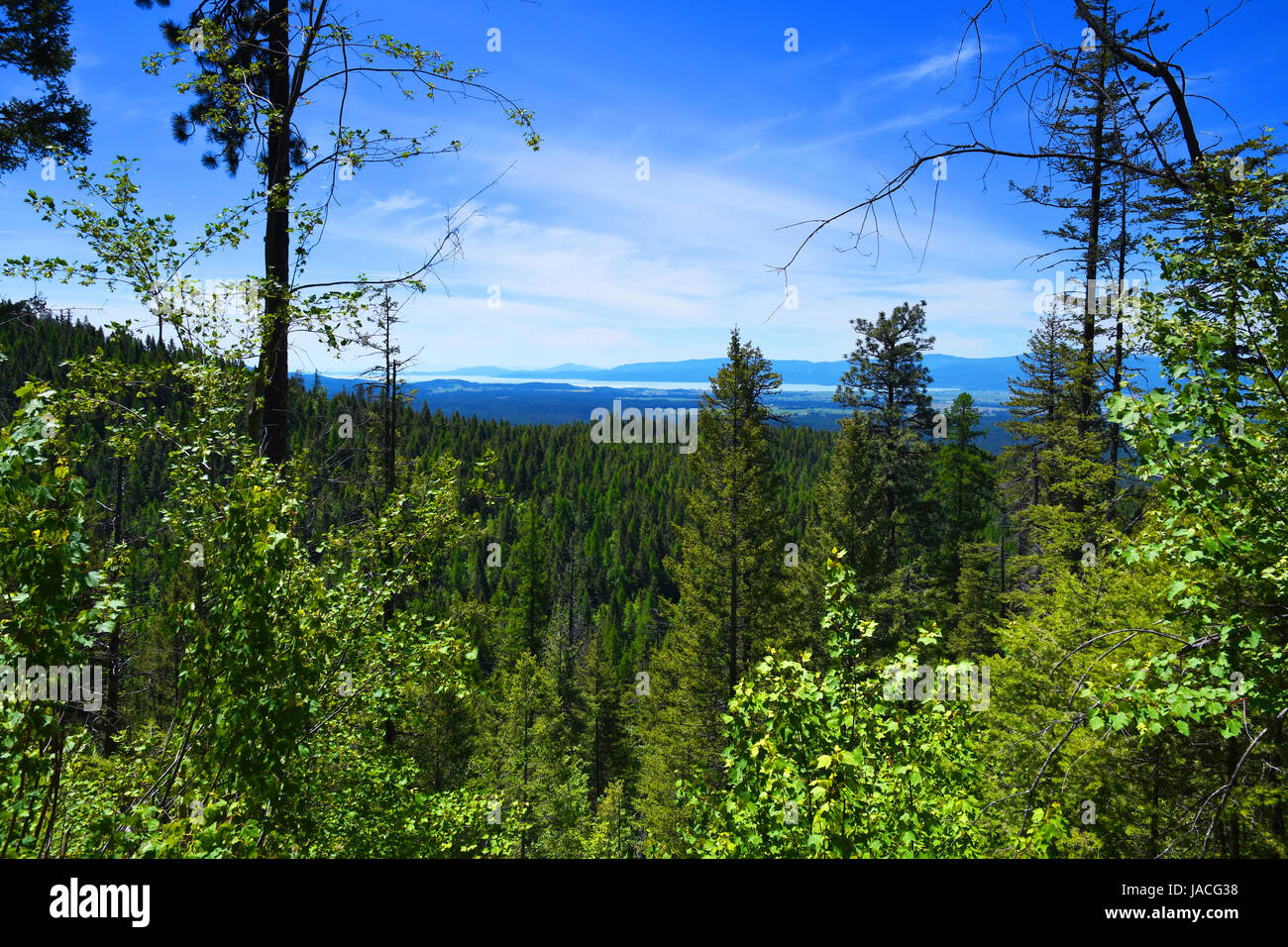 Flathead Valley in Northwestern Montana as seen from high above in the ...