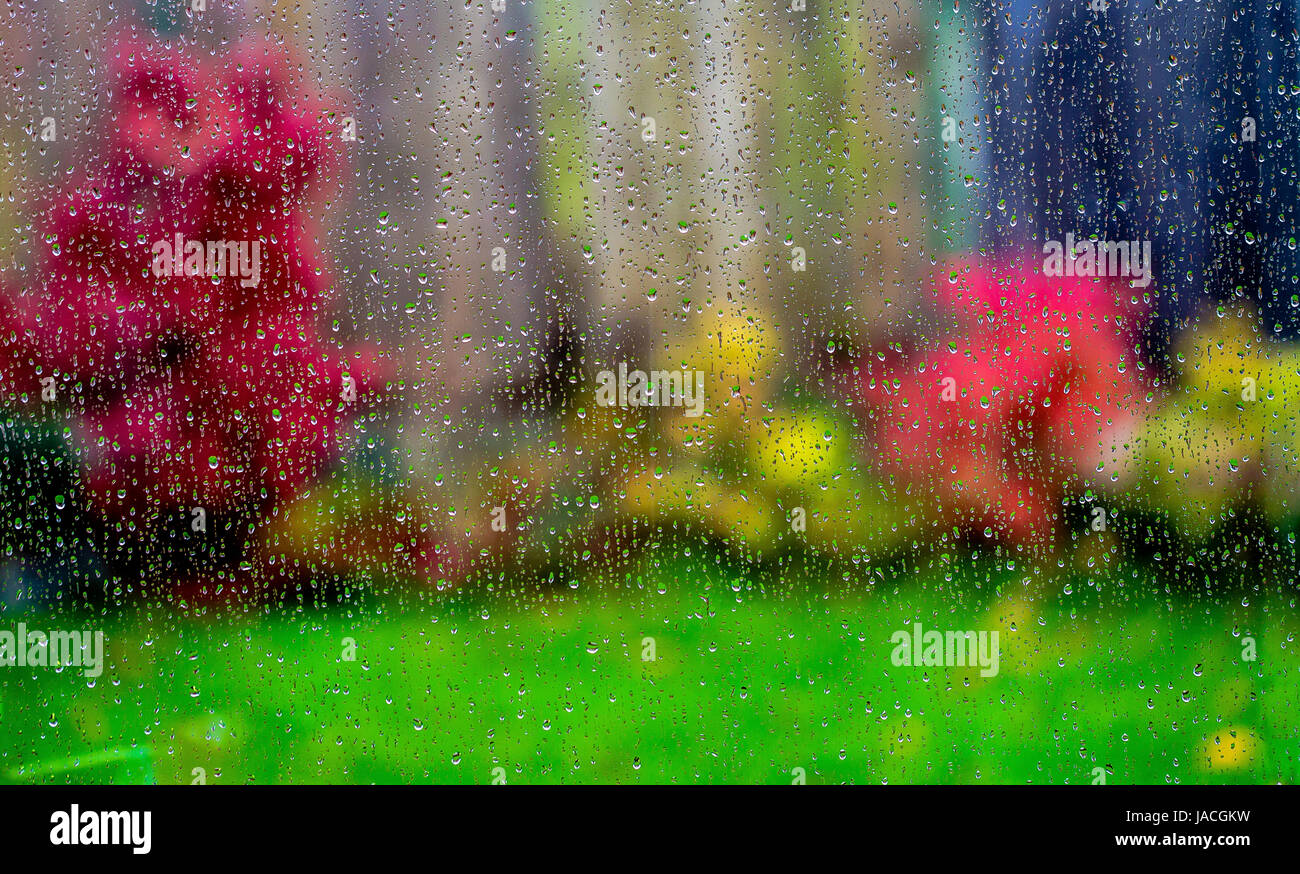 Rain on the window Stock Photo - Alamy