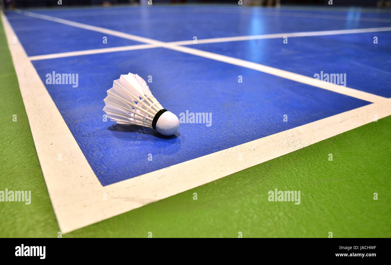 badminton court with a shuttlecock at the corner Stock Photo - Alamy