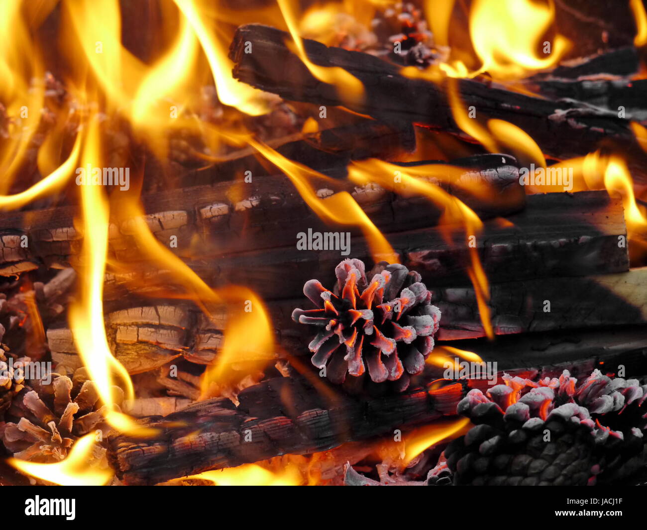 Fire burning ash romantic fireplace fuel pinecone fossil Stock Photo ...