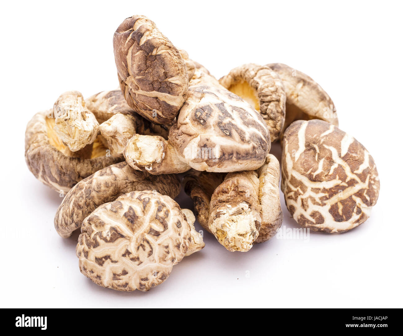 Shiitake isolated on white Stock Photo - Alamy