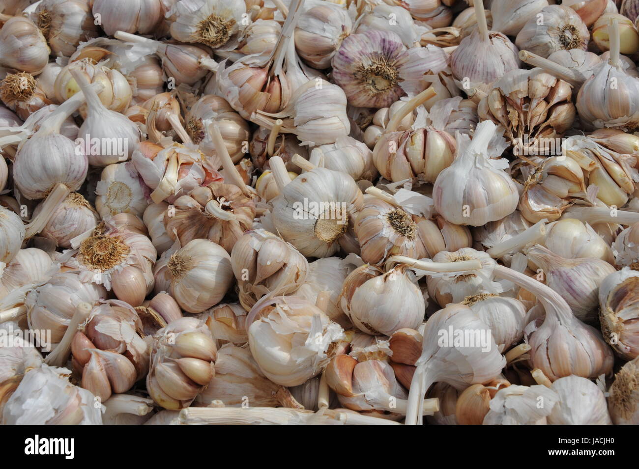 spain weekly market,garlic Stock Photo - Alamy