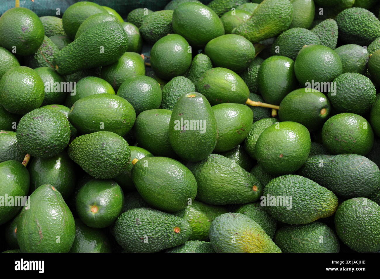 spain - avocados - weekly market Stock Photo - Alamy