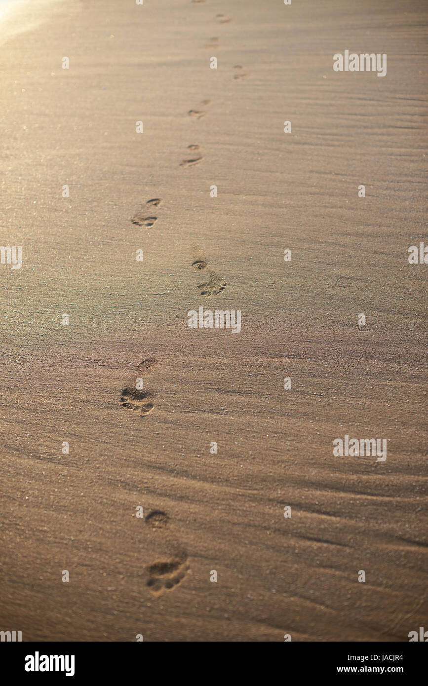 Footpath of foot prints on beach wet sand. Foot print path on coast ...