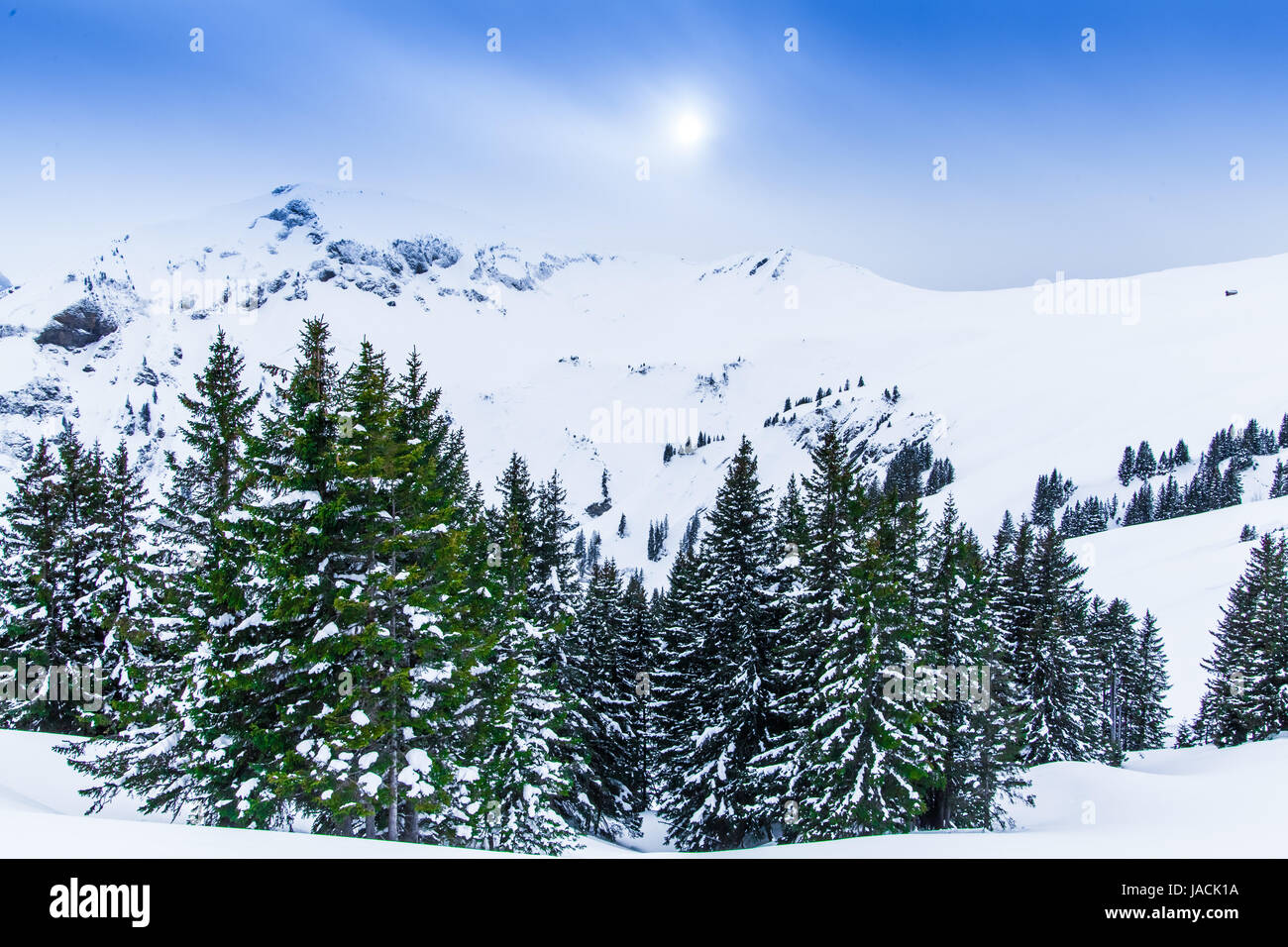 Beautiful winter landscape with snow covered trees Stock Photo - Alamy