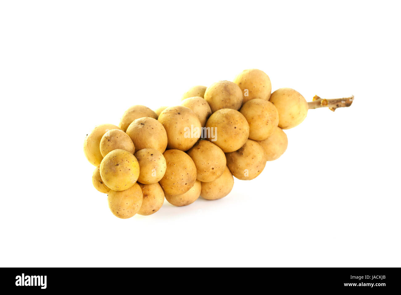 Longkong isolated on white background Stock Photo - Alamy