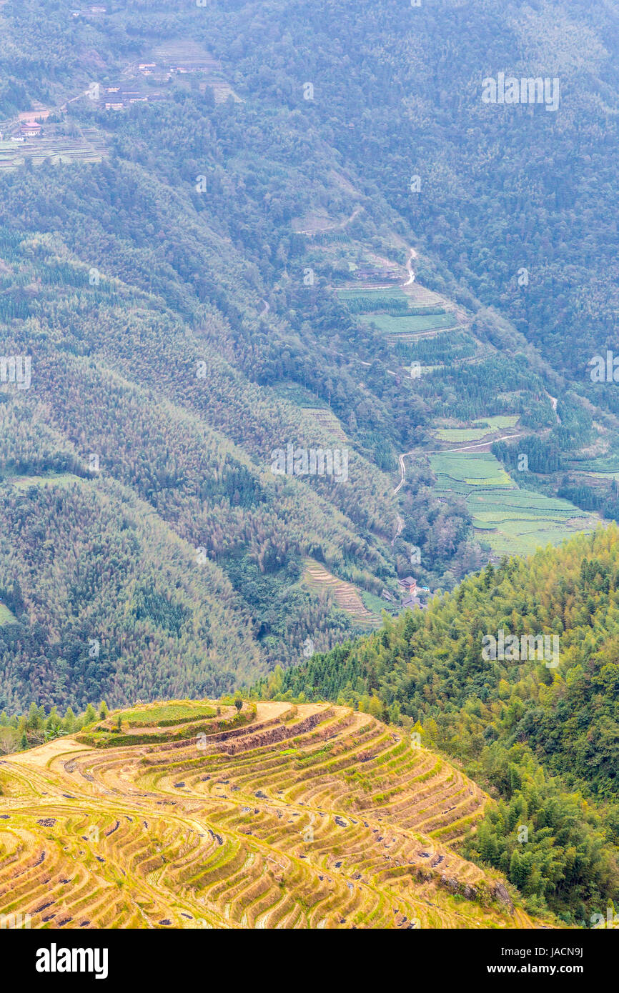 Longji, China. Terraced Rice Paddies after Harvest Stock Photo - Alamy