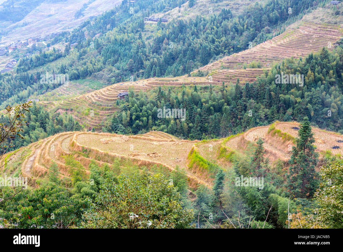 Longji, China. Terraced Rice Paddies after Harvest Stock Photo - Alamy