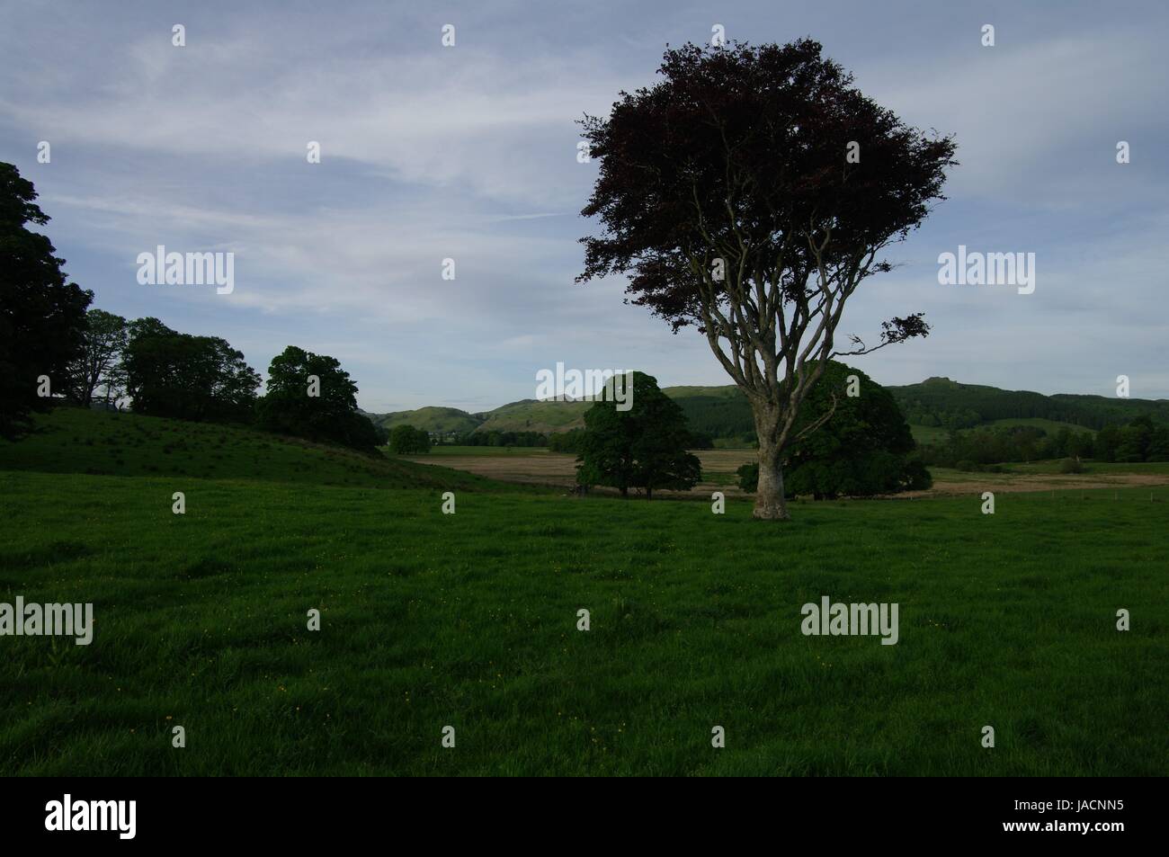 Kilmartin Glen, Argyll and Bute, Scotland Stock Photo - Alamy