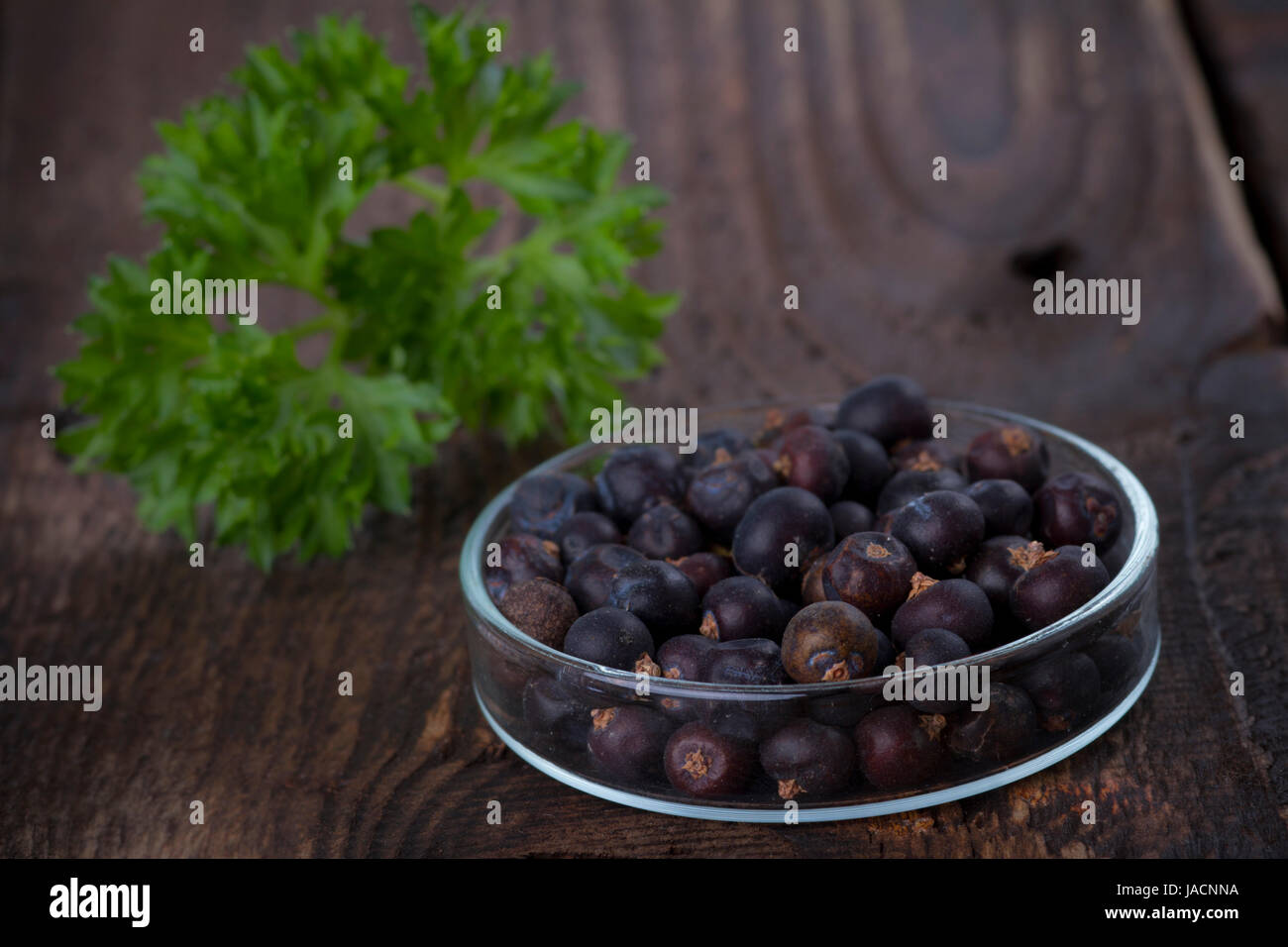 Wacholder beeren hi-res stock photography and images - Alamy