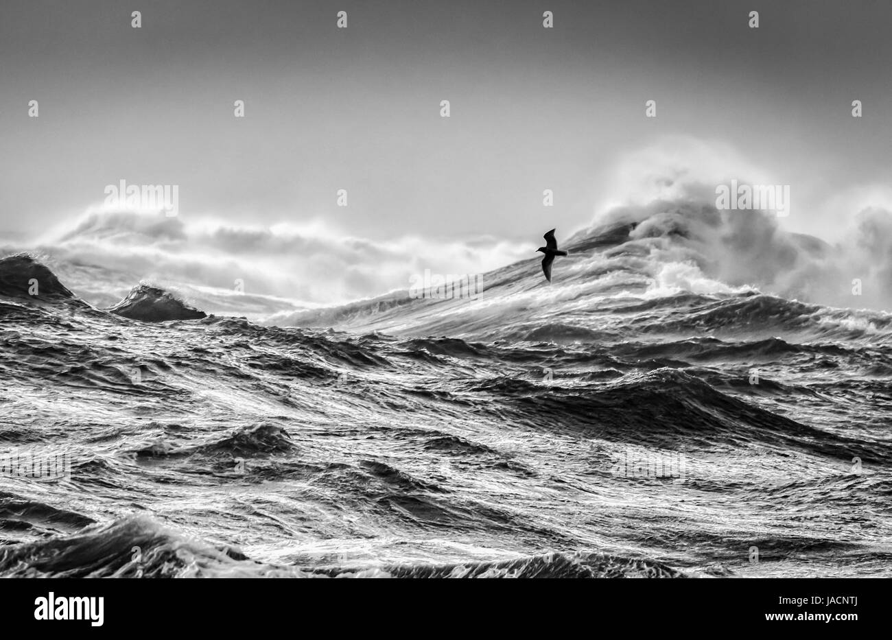 Above rough Black and White Stock Photos & Images - Alamy