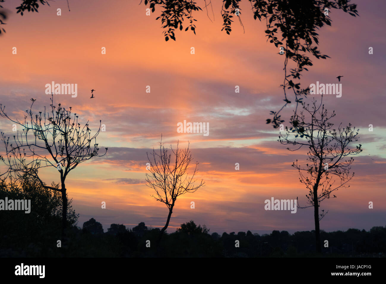 Birmingham sun pillar hi-res stock photography and images - Alamy