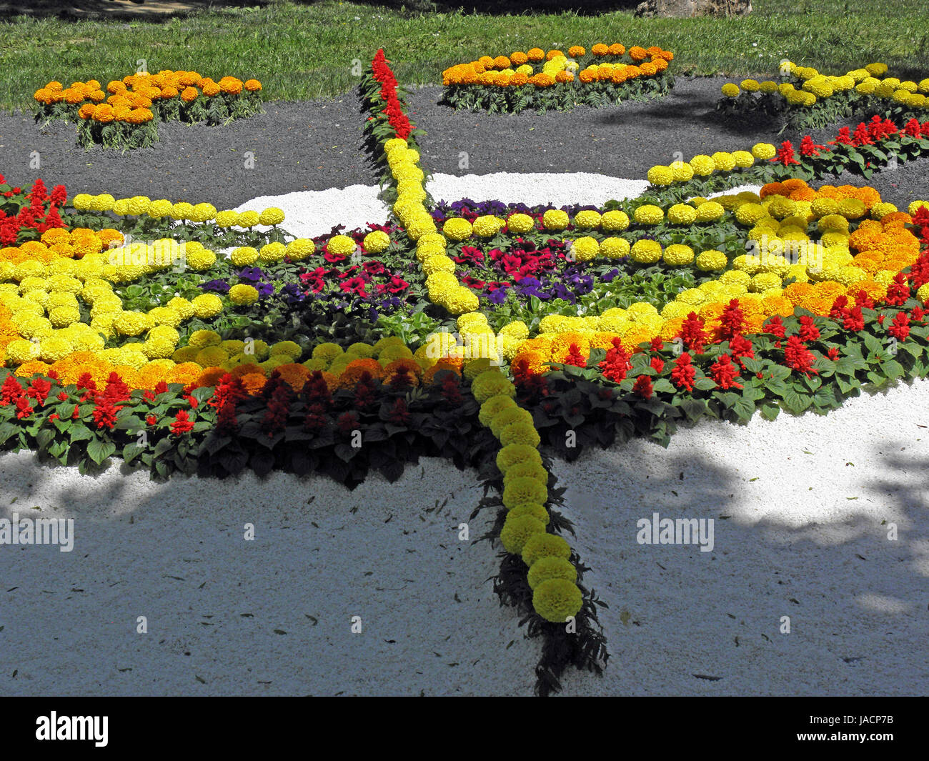 Summer plants and flowers,Croatia,Europe,43 Stock Photo - Alamy
