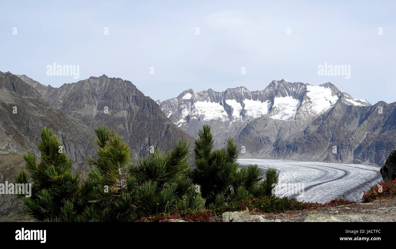 Big aletschgletscher hi-res stock photography and images - Alamy