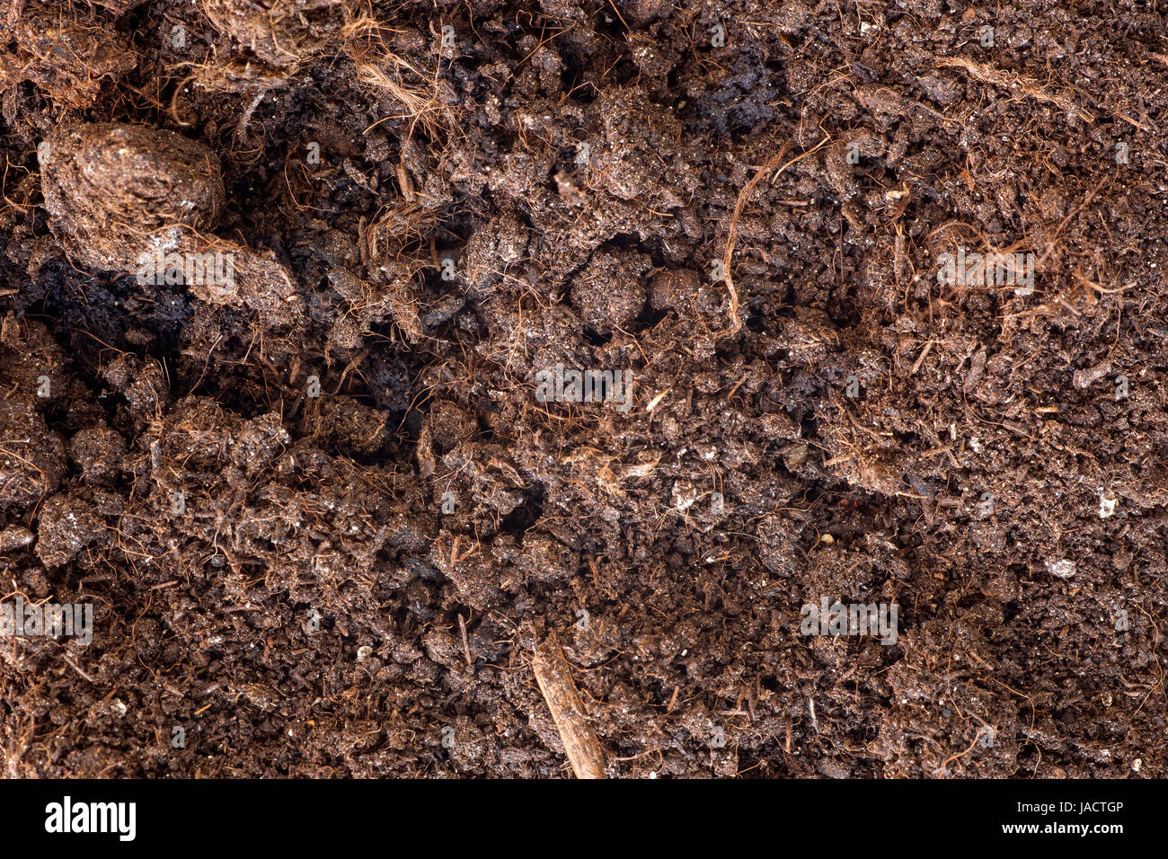 Organic soil close up. Background and texture Stock Photo - Alamy