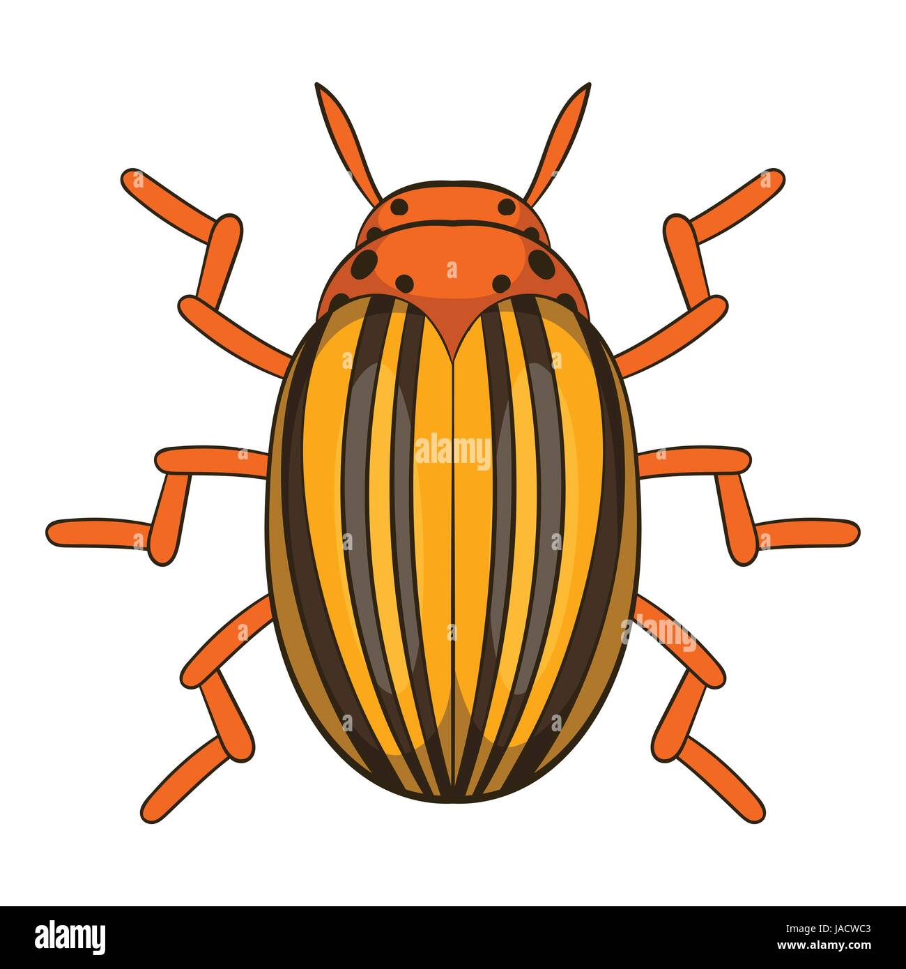 Colorado potato beetle icon. Cartoon illustration of colorado potato ...