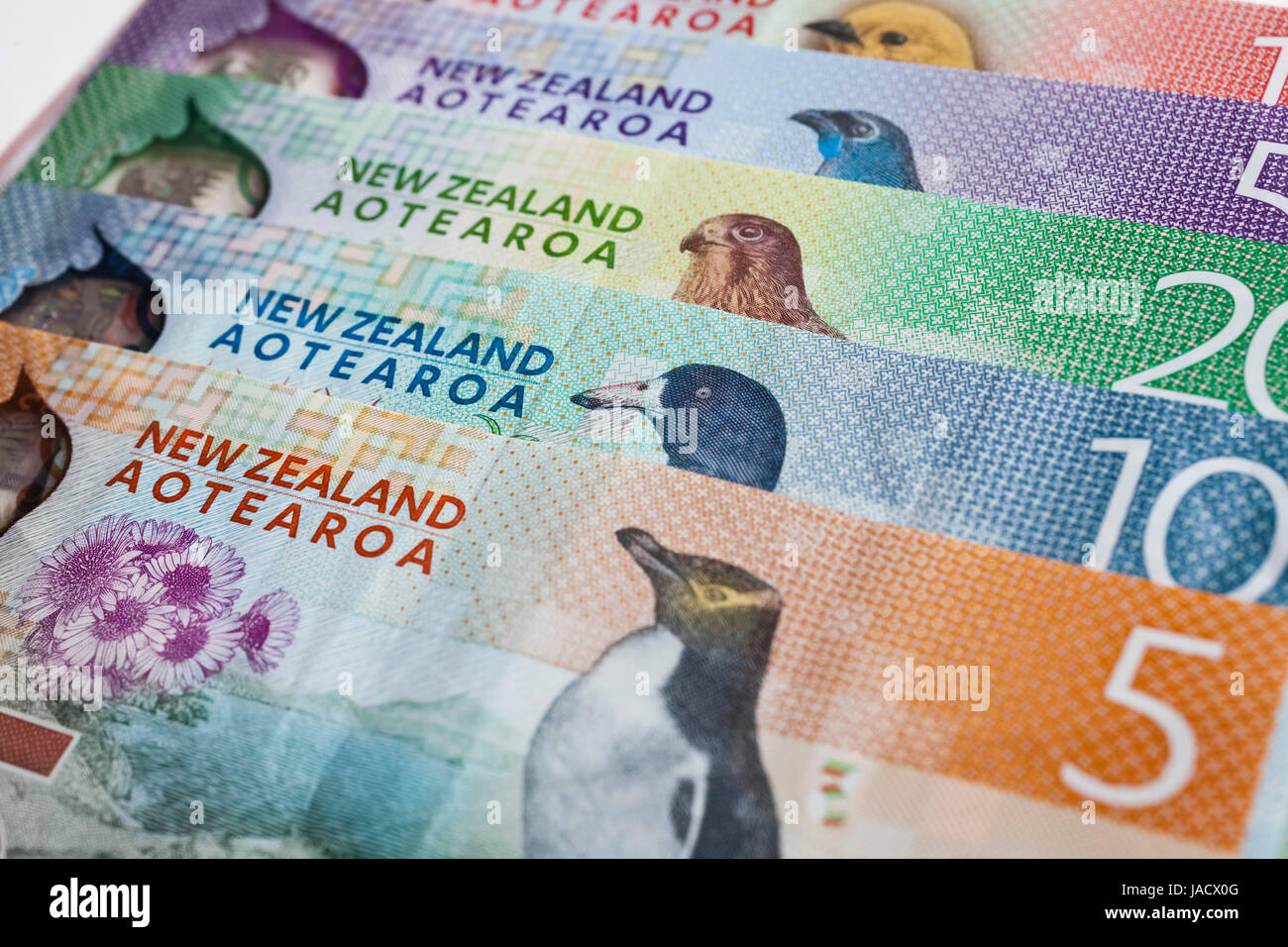 5 dollar new zealand hi-res stock photography and images - Alamy